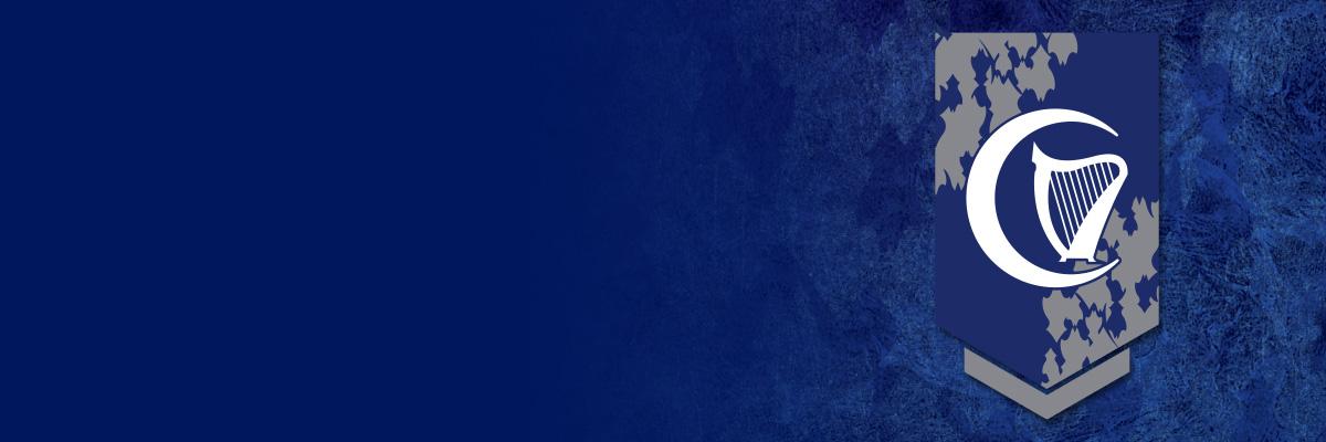 Harpers - forgotten-realms.gr